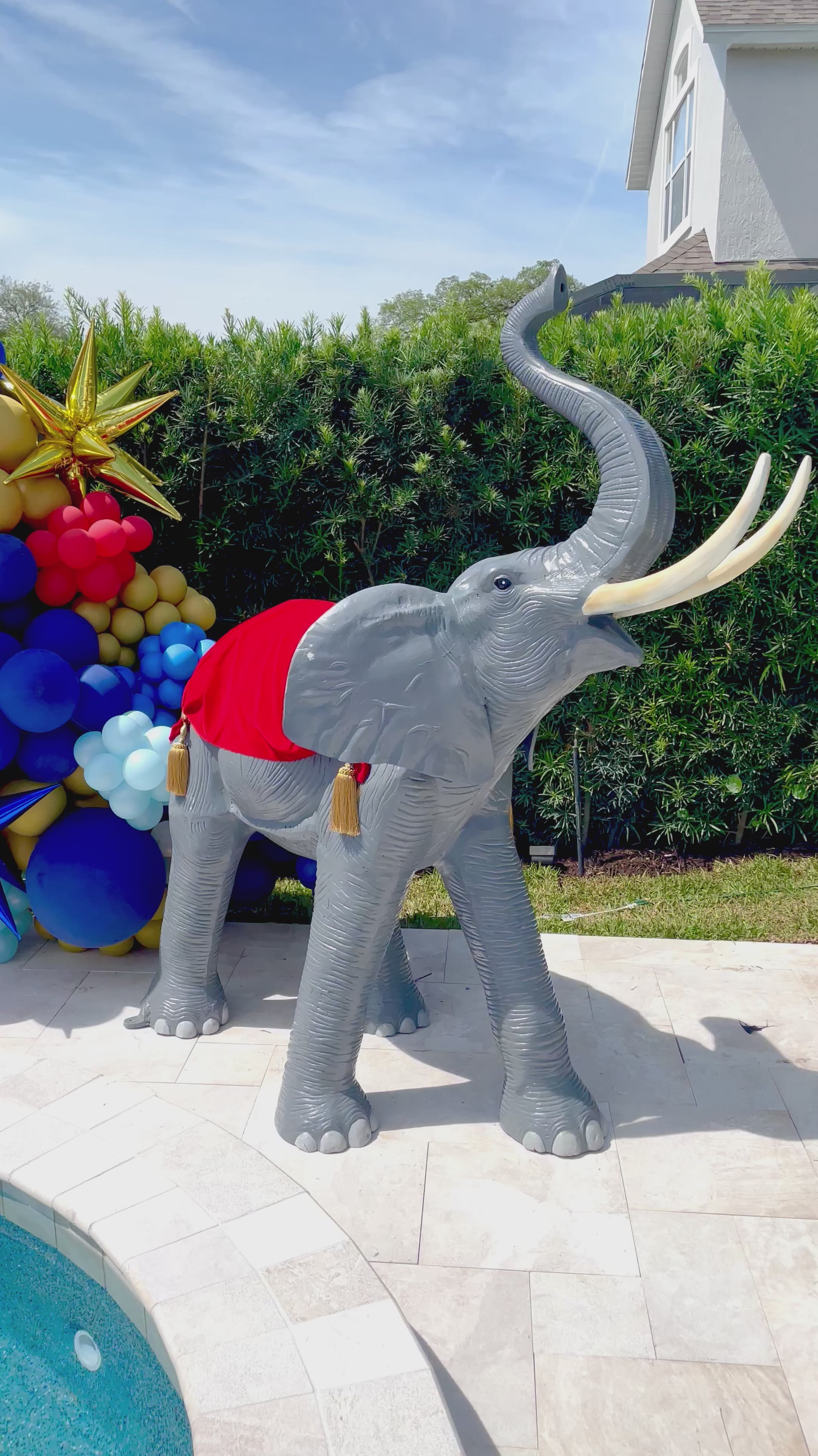 Carnival Circus Light Up Marquee Sign – Betty Boujee